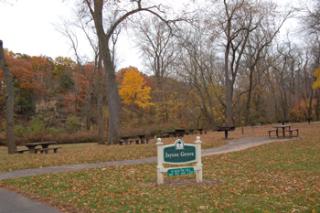Jaycee Grove | Somerset County Park Commission, NJ