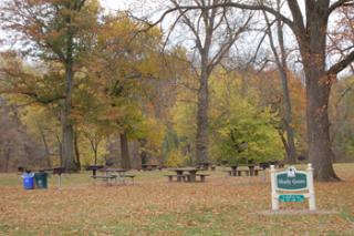Shady Grove | Somerset County Park Commission, NJ